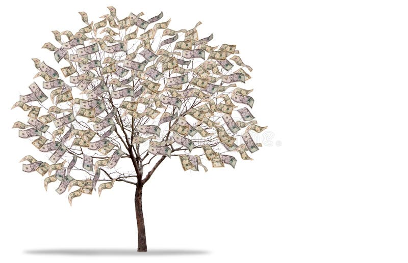 Money growing on trees stock image. Image of landscape - 10884441