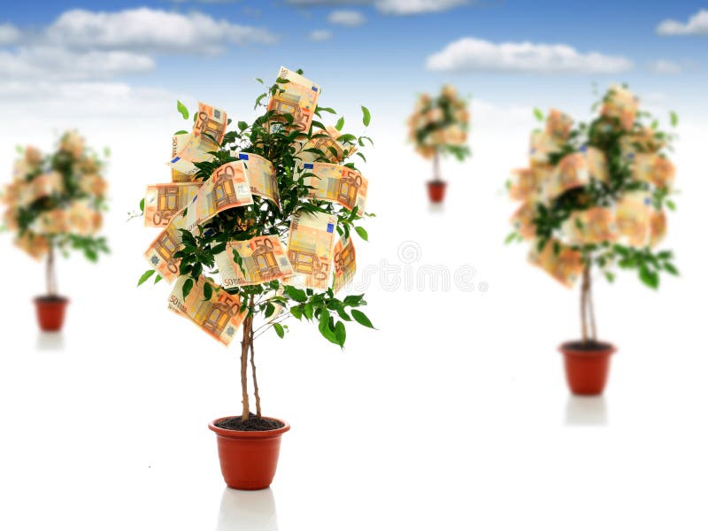 Euro Money Tree stock photo. Image of deposit, false, blossom - 4281744