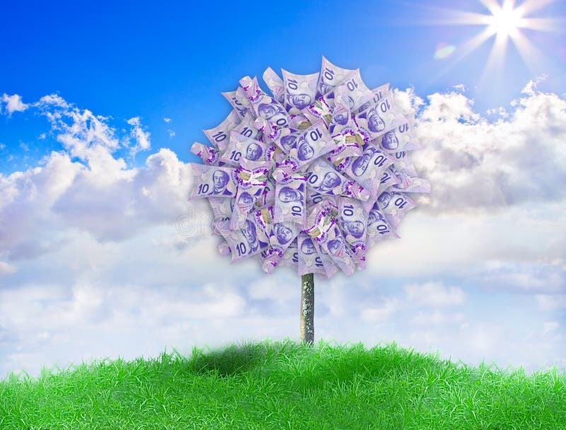 Canadian Money Tree