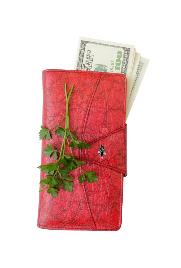 Money wallet stock photo. Image of moneys, financial - 28356294