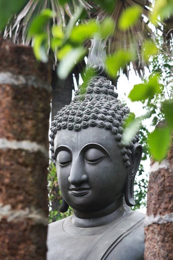 Monge no jardim imagem de stock. Imagem de cara, parede - 14510599