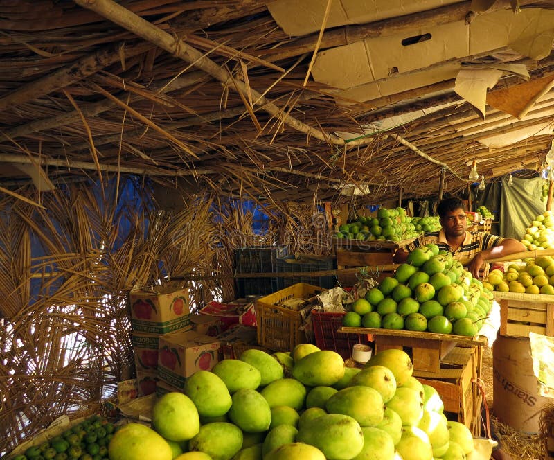Mongo Selling at Road Side of India Editorial Stock Photo - Image of ...