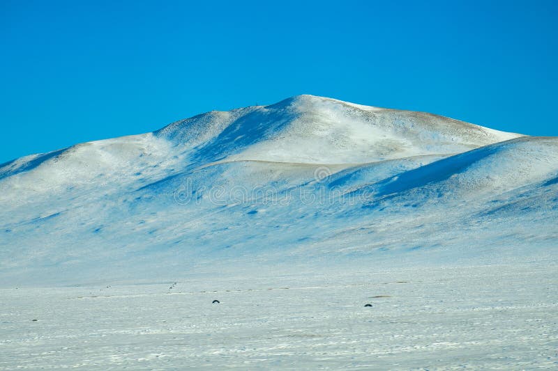Mongolian Steppe in Winter during the Daytime. Stock Image - Image of ...