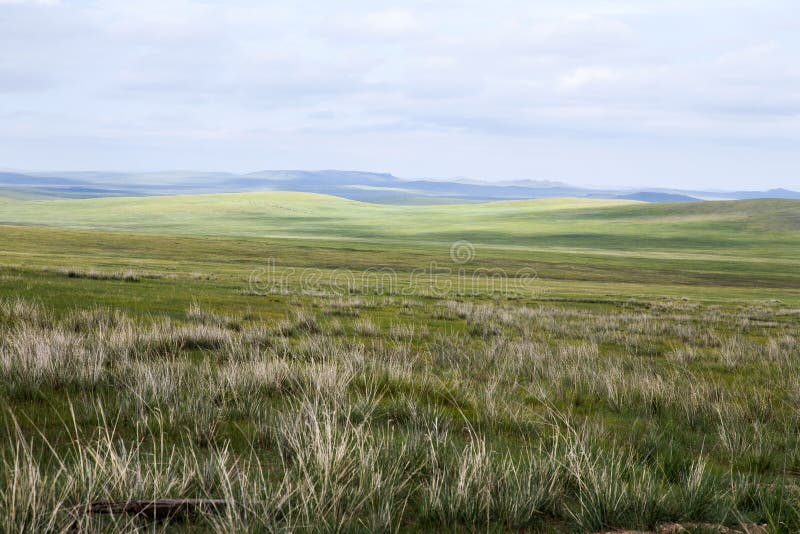 Mongolian Steppes stock image. Image of grassland, steppes - 36742979