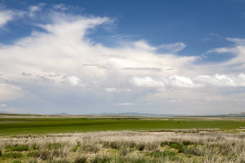 Mongolian Steppes stock photo. Image of landscape, steppes - 36743578