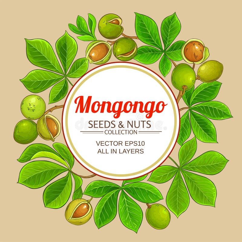 Mongongo Branches Stock Illustrations – 12 Mongongo Branches Stock ...