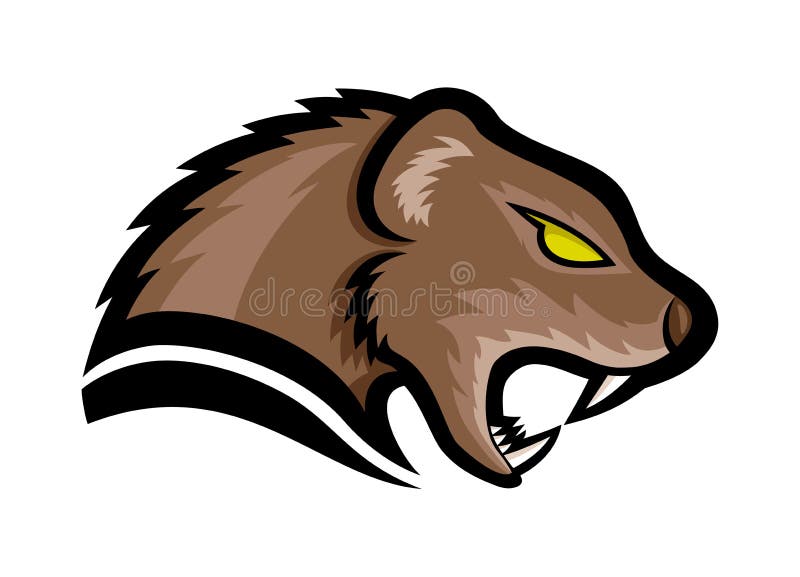 Mongoose Head Stock Illustrations – 74 Mongoose Head Stock ...