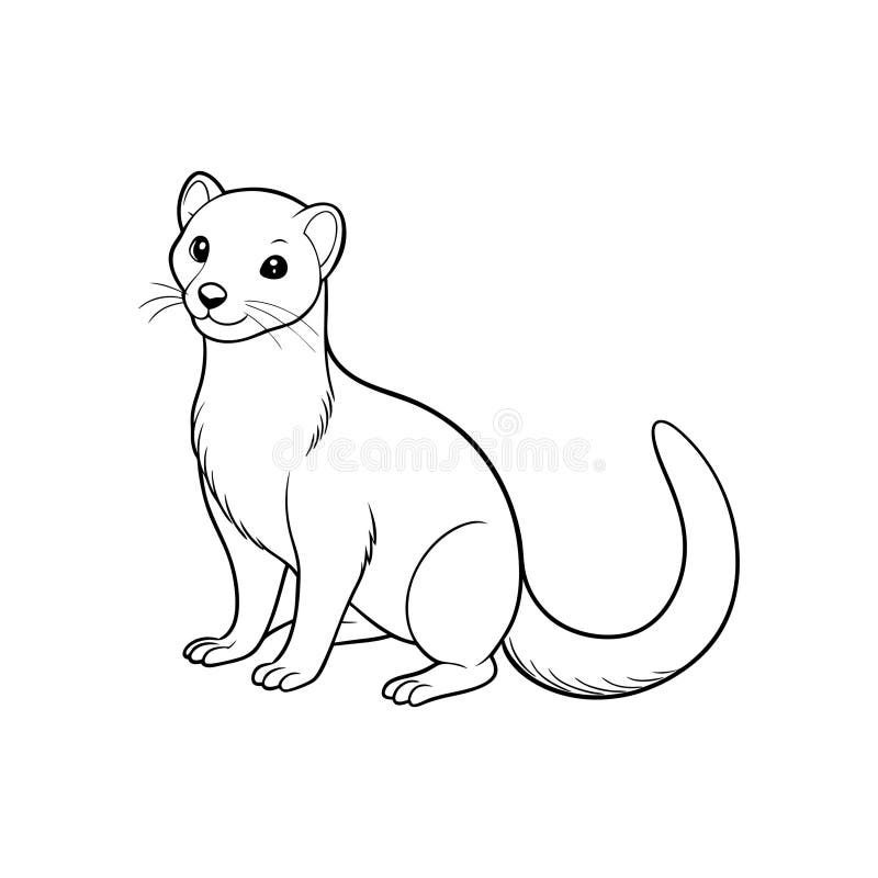 Mongoose Coloring Outline for Kids Stock Image - Illustration of drawn ...