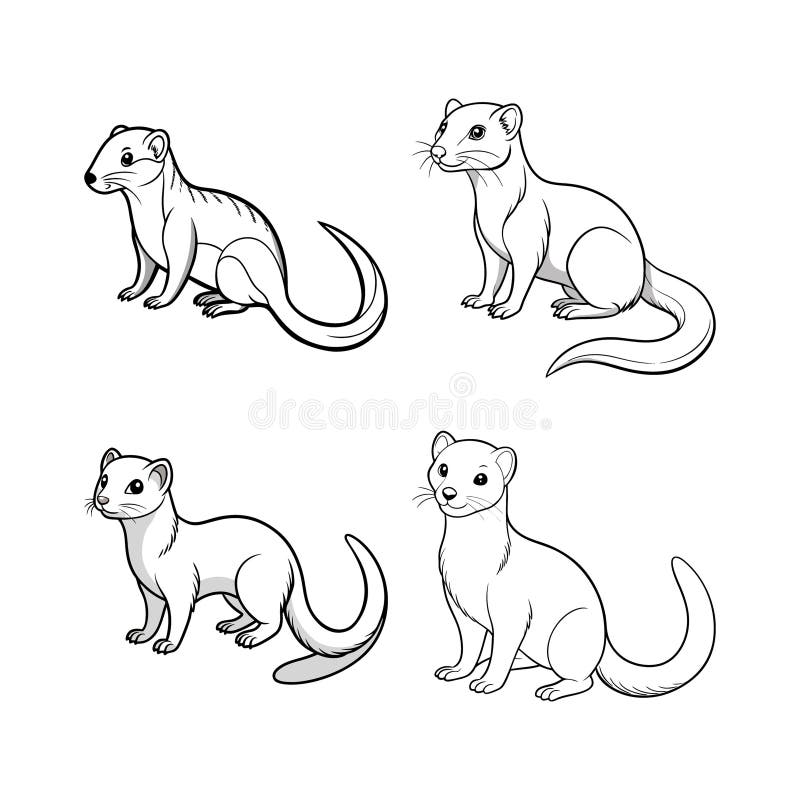 Mongoose Coloring Page for Kids Stock Vector - Illustration of outline ...