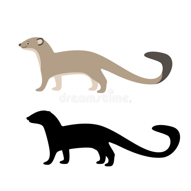 Mongoose Black Stock Illustrations – 337 Mongoose Black Stock ...