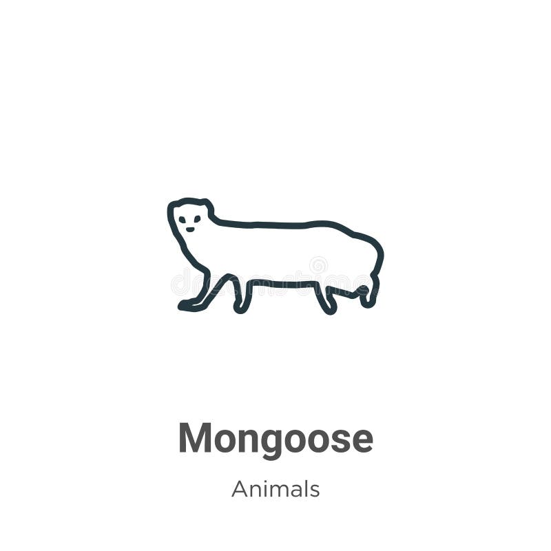 Mongoose Linear Icon. Modern Outline Mongoose Logo Concept on Wh Stock ...