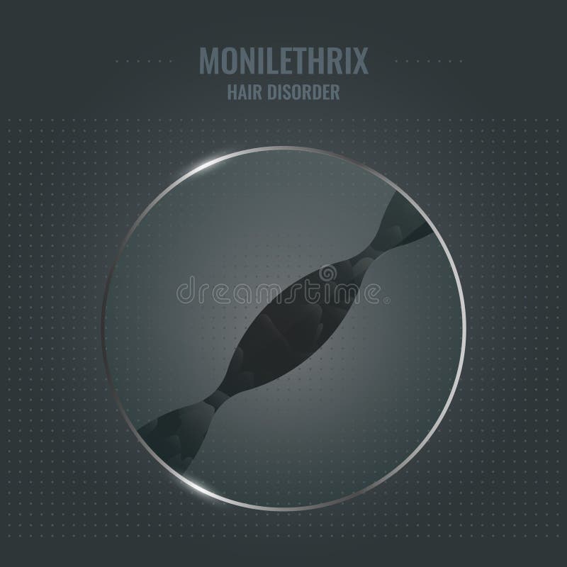 Hair Damage Types Set Under the Microscope Stock Vector - Illustration ...