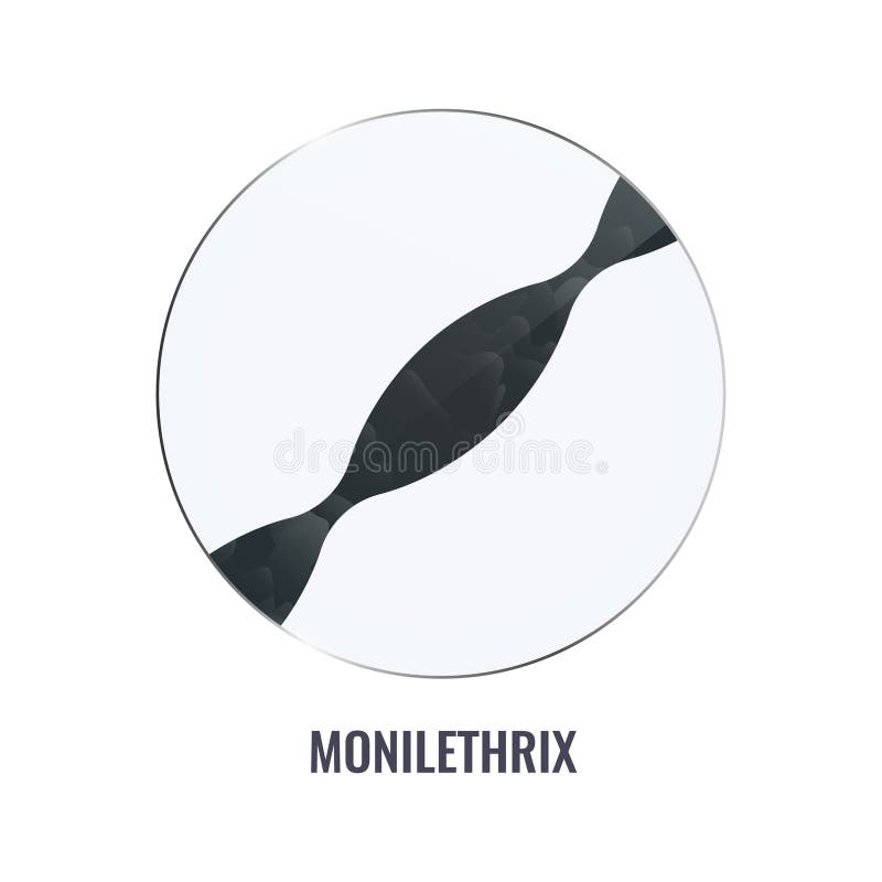 Hair Damage Types Set Under the Microscope Stock Vector - Illustration ...