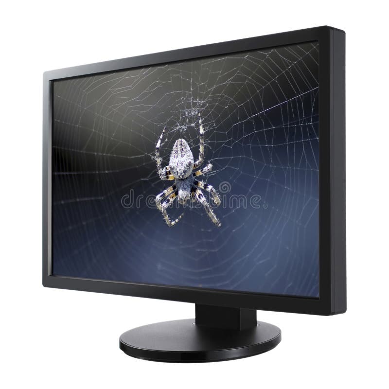 Monitor with Spider stock photo. Image of black, spider - 8250590