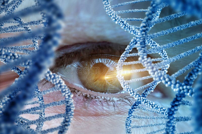 Human Biology Wallpaper Hd