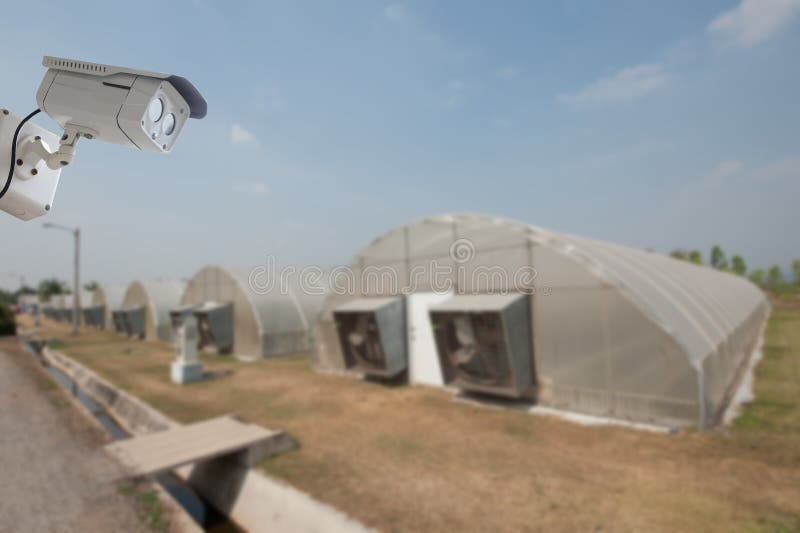 Monitoring Security Camera The Backdrop Of Organic Farm Background Blur ...