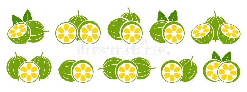 Monk Fruit Stock Illustrations – 389 Monk Fruit Stock Illustrations ...