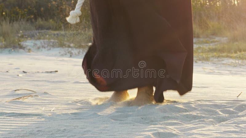 Monk Jumping Rope Barefoot on the Sand Stock Video - Video of jumping ...