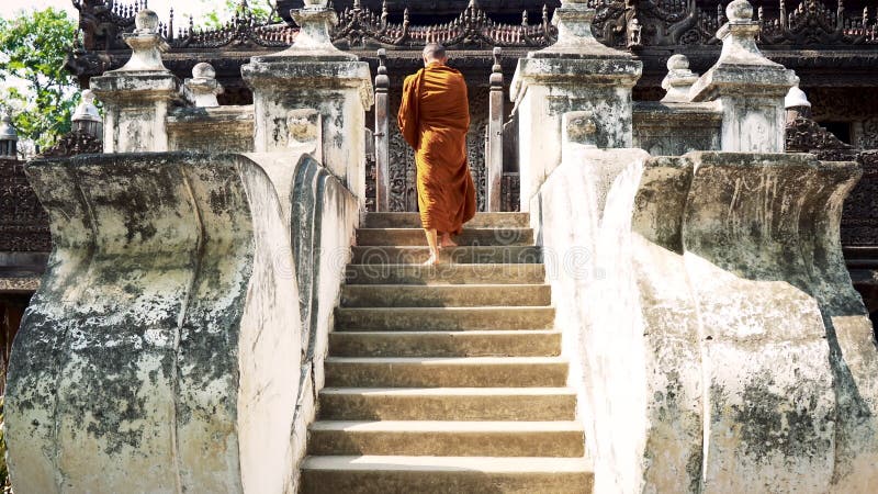 Monk in temple stock footage. Video of life, person - 335119678