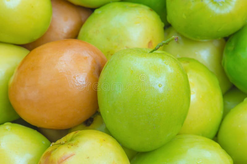 Monkey apple stock photo. Image of group, freshness, details - 75077696