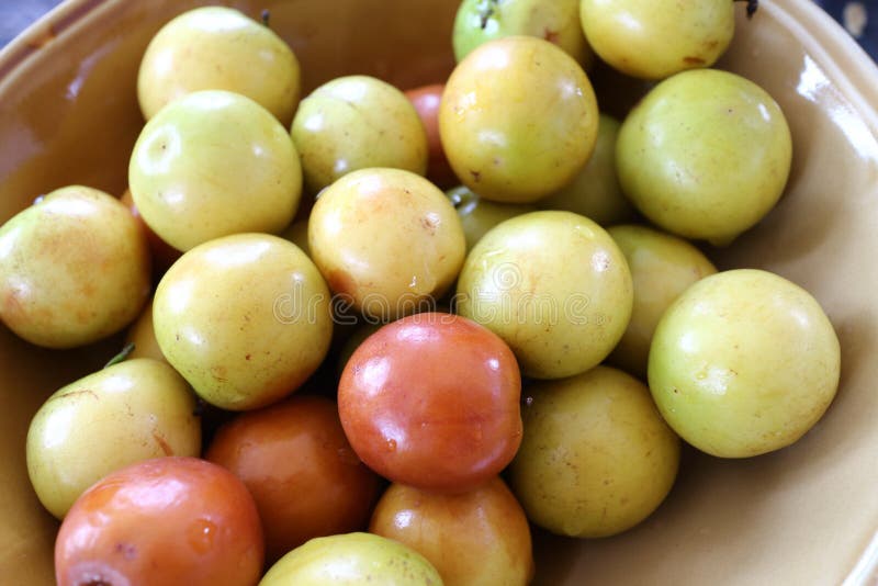 Monkey apple fruit stock photo. Image of delicious, juicy - 58265864