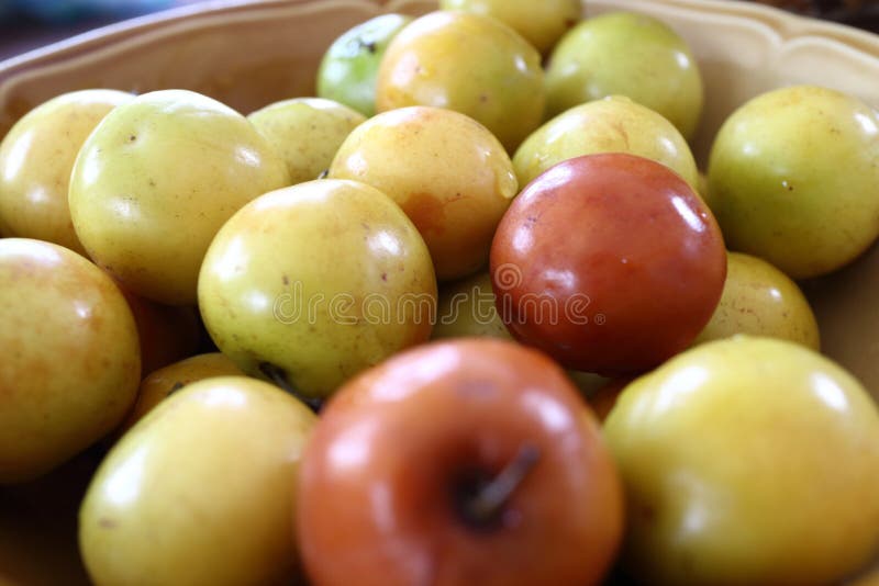 Monkey apple fruit stock image. Image of green, plum - 58265951