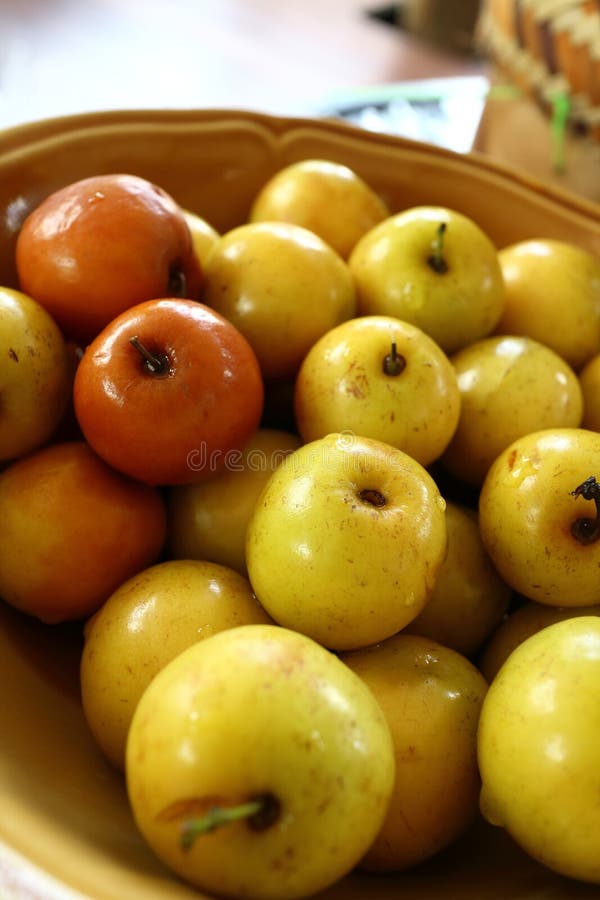 Monkey apple fruit stock image. Image of season, plum - 58266431