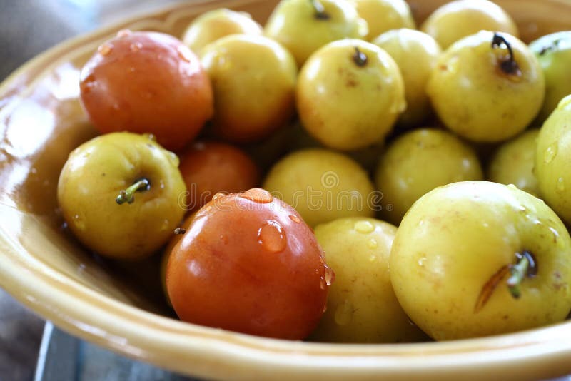 Monkey apple fruit stock image. Image of natural, market - 58266525