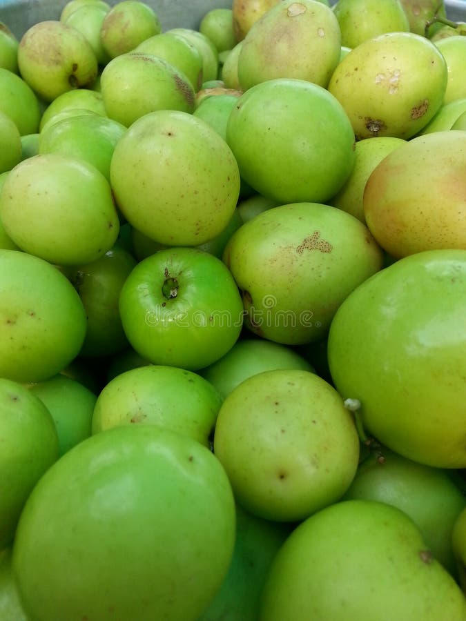 Monkey apple stock image. Image of thailand, monkey, green - 48030709