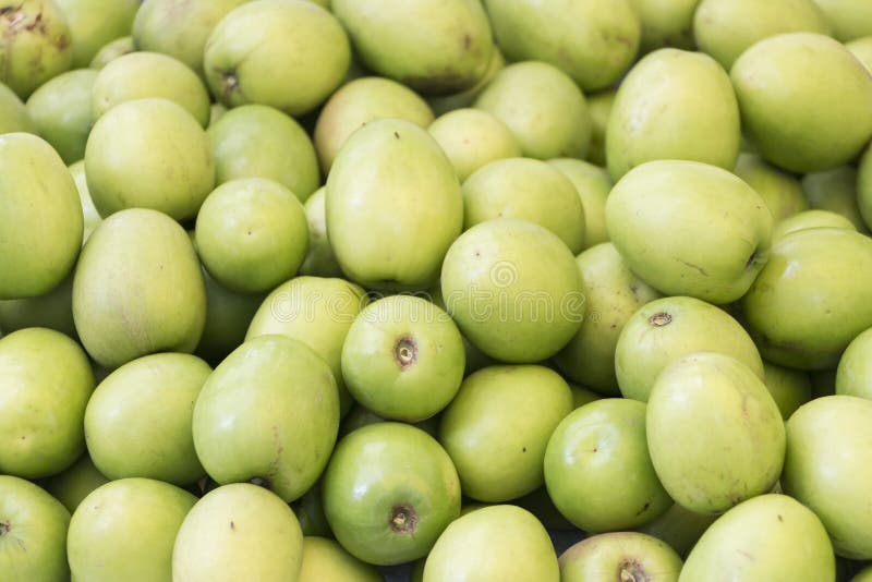 Monkey apple stock photo. Image of drink, food, gourmet - 36854724