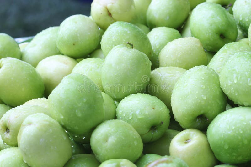 Monkey Apple, Green Fruit in Thailand Stock Photo - Image of eatable ...