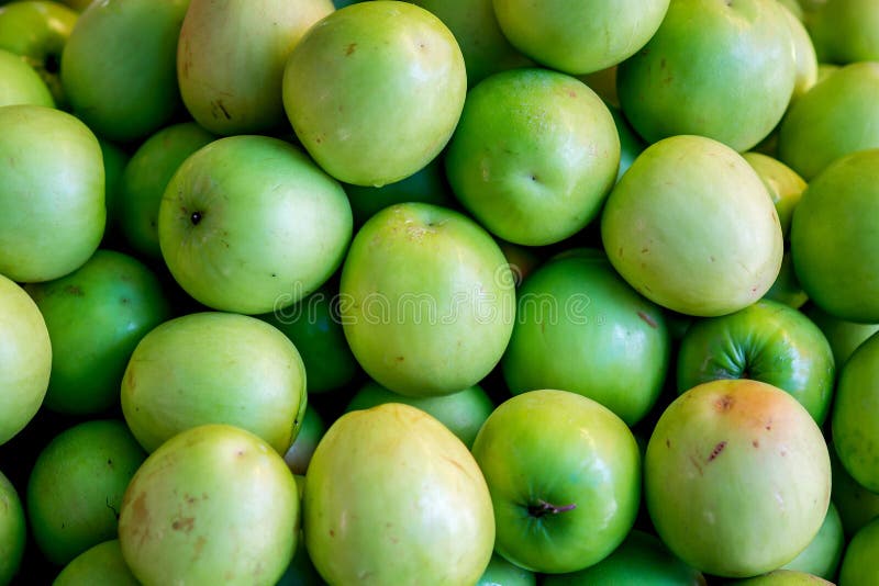 Monkey apple stock image. Image of tasty, green, food - 46911289