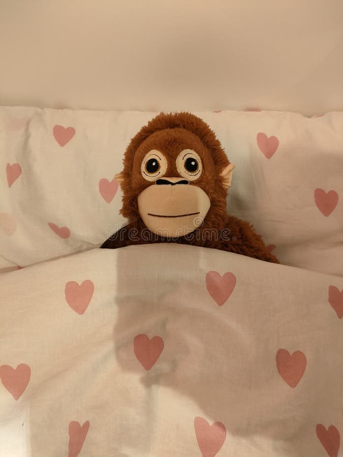 Monkey in bed stock photo. Image of room, monkey, cute - 289158130