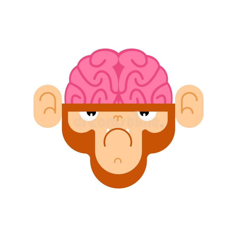 Vector Brains Stock Illustrations – 2,138 Vector Brains Stock ...