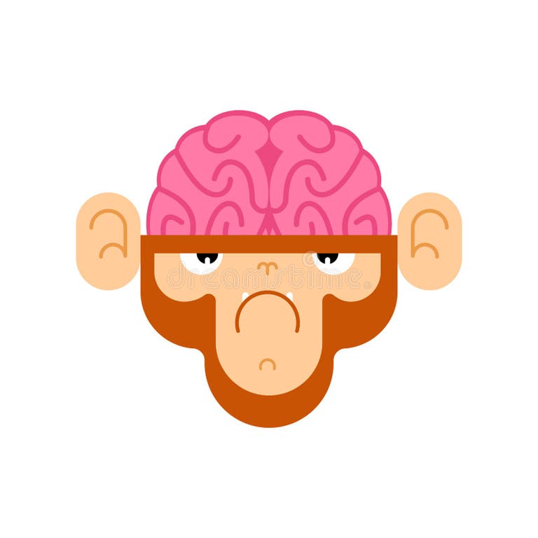 Monkey with Brain. Gorilla with Brains Stock Vector - Illustration of ...