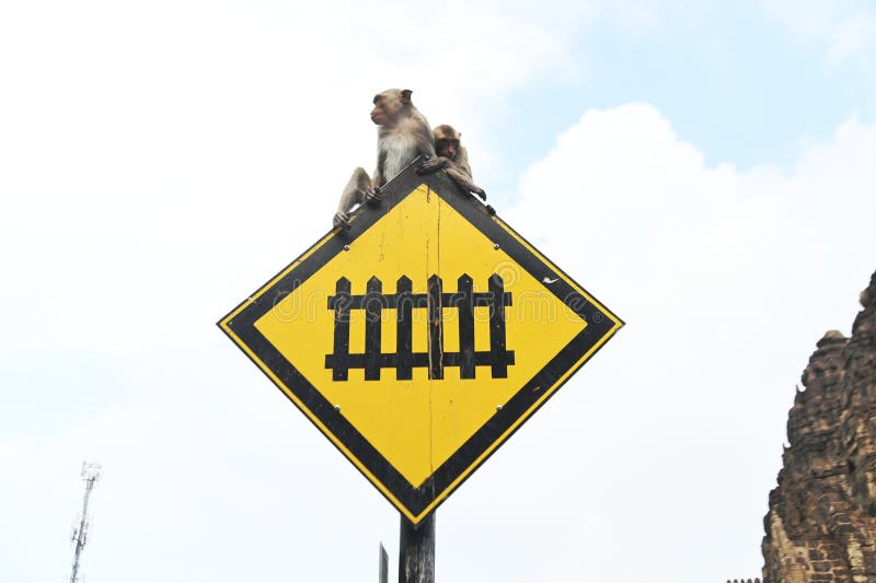 Monkey Climbing on Railway Traffic Sign. Stock Photo - Image of traffic ...