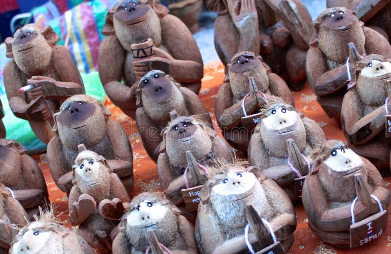 Monkey coconut stock photo. Image of coconut, southeast - 54682502