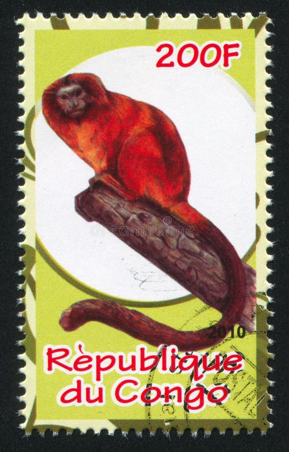 Monkey editorial photo. Illustration of antique, mail - 321964191