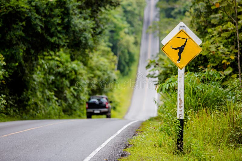 Monkey crossing sign stock image. Image of outdoors, sign - 77791053