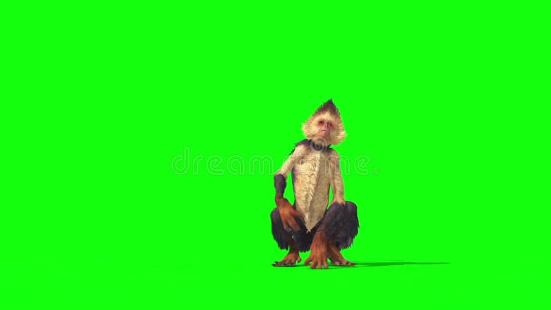 Monkey Die Front Green Screen 3D Rendering Animation Stock Video ...