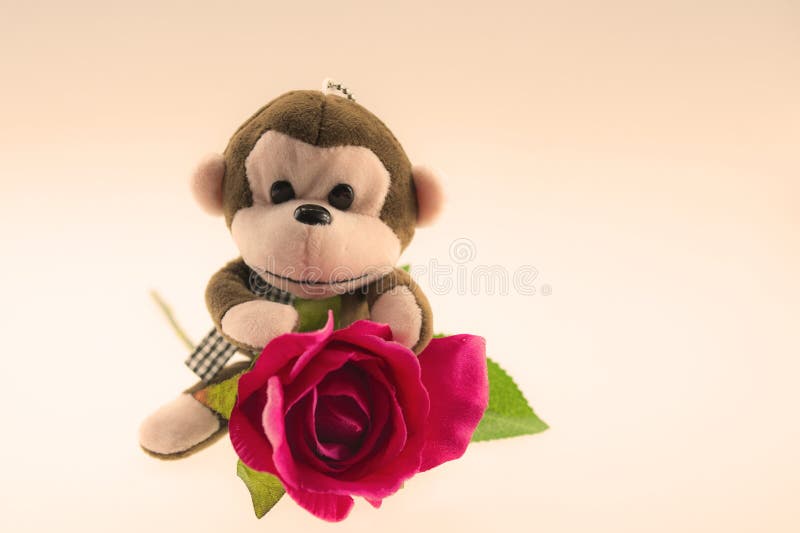 Monkey Dolls with Roses of Love Stock Image - Image of valentine ...