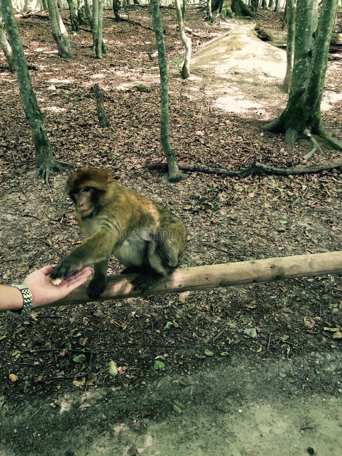 Eat Picture. Image: 2481770