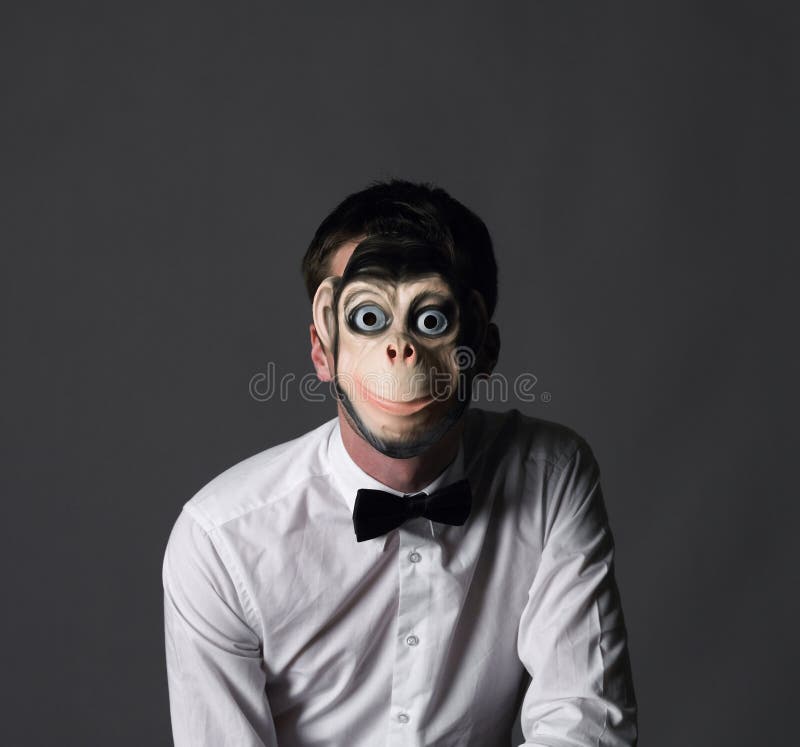 Monkey Face stock image. Image of looking, animal, face - 8761619