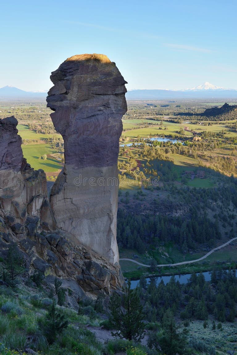 87,818 Monkey Face Neeaka Stock Photos - Free & Royalty-Free Stock ...