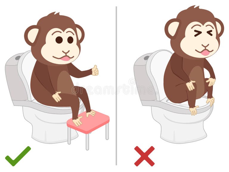 Monkey Feel Good and Bad Practice in Use Toilet. Stock Vector ...