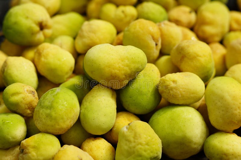 Monkey fruit stock image. Image of field, chiefly, flower - 82912459
