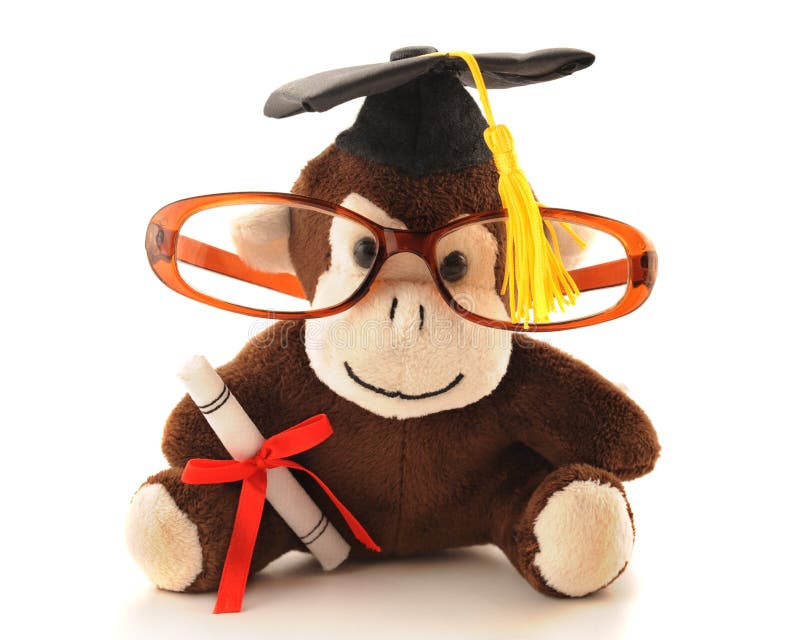 Monkey Grad stock photo. Image of animal, ribbon, student - 17031126
