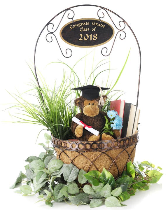 Monkey Grad - Class of 2017 Stock Image - Image of commencement ...