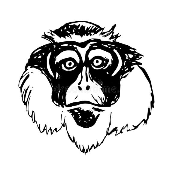 Sad Monkey Face Stock Illustrations – 871 Sad Monkey Face Stock ...