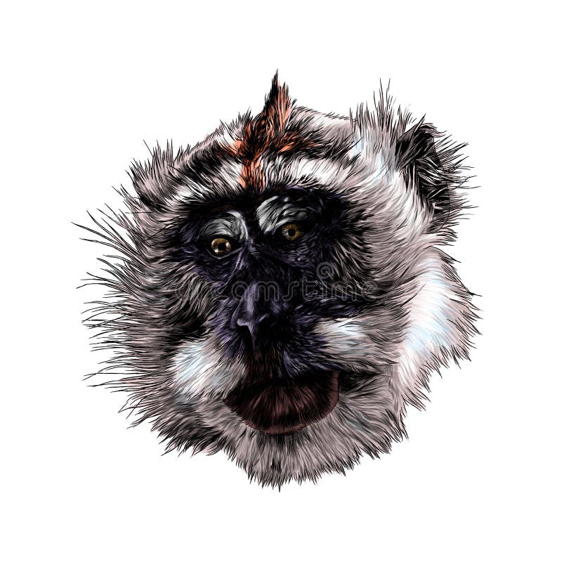 Downcast Eyes Stock Illustrations – 82 Downcast Eyes Stock ...